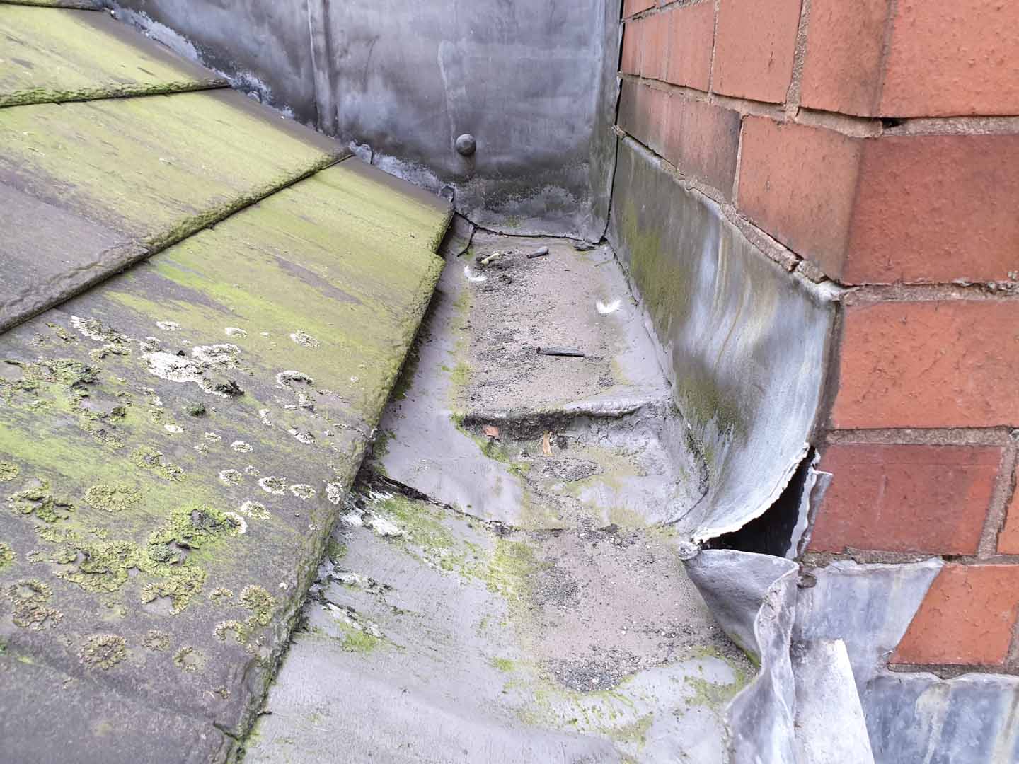 Water Ingress & Roof Repairs - Birmingham - Rappel